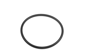 Aquamax Pool Pump Lid O'Ring – Pool It Online