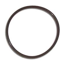 Earthco Rapid Pool Pump Lid O-ring – Pool It Online