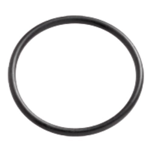 Speck Union O'Ring 50 x 3mm – Pool It Online